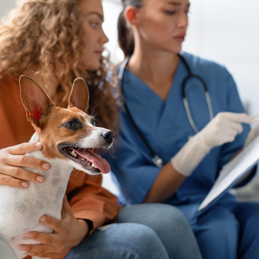 Payment Options | Totalcare Veterinary and Surgical Center